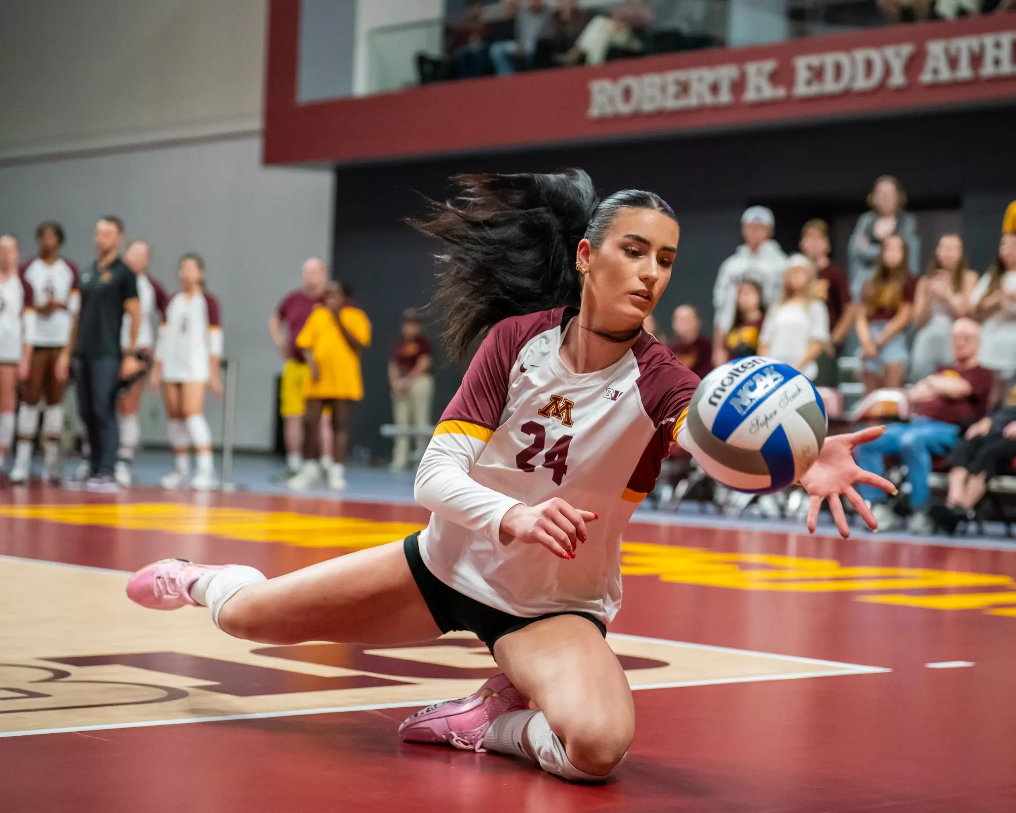#13 Gopher volleyball wins eighth straight match - Minnesota News Network